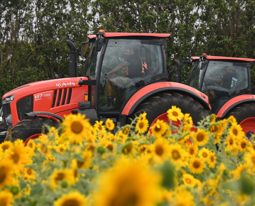 Home - Northland Field Days